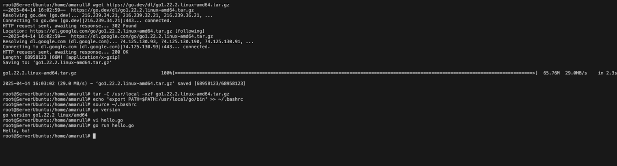Cara Mudah Install Golang (Go) di Semua Sistem Operasi - IDCloudHost