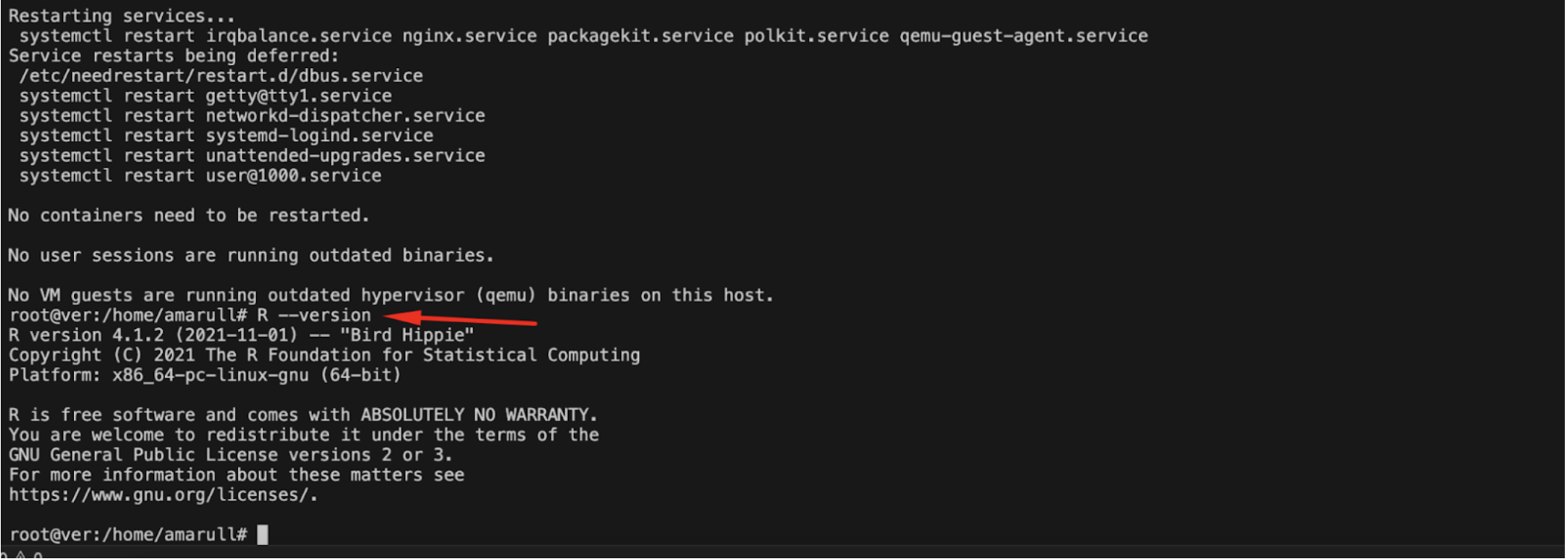 Cara Install R, Bahasa Pemrograman Favorit Praktisi Data - IDCloudHost