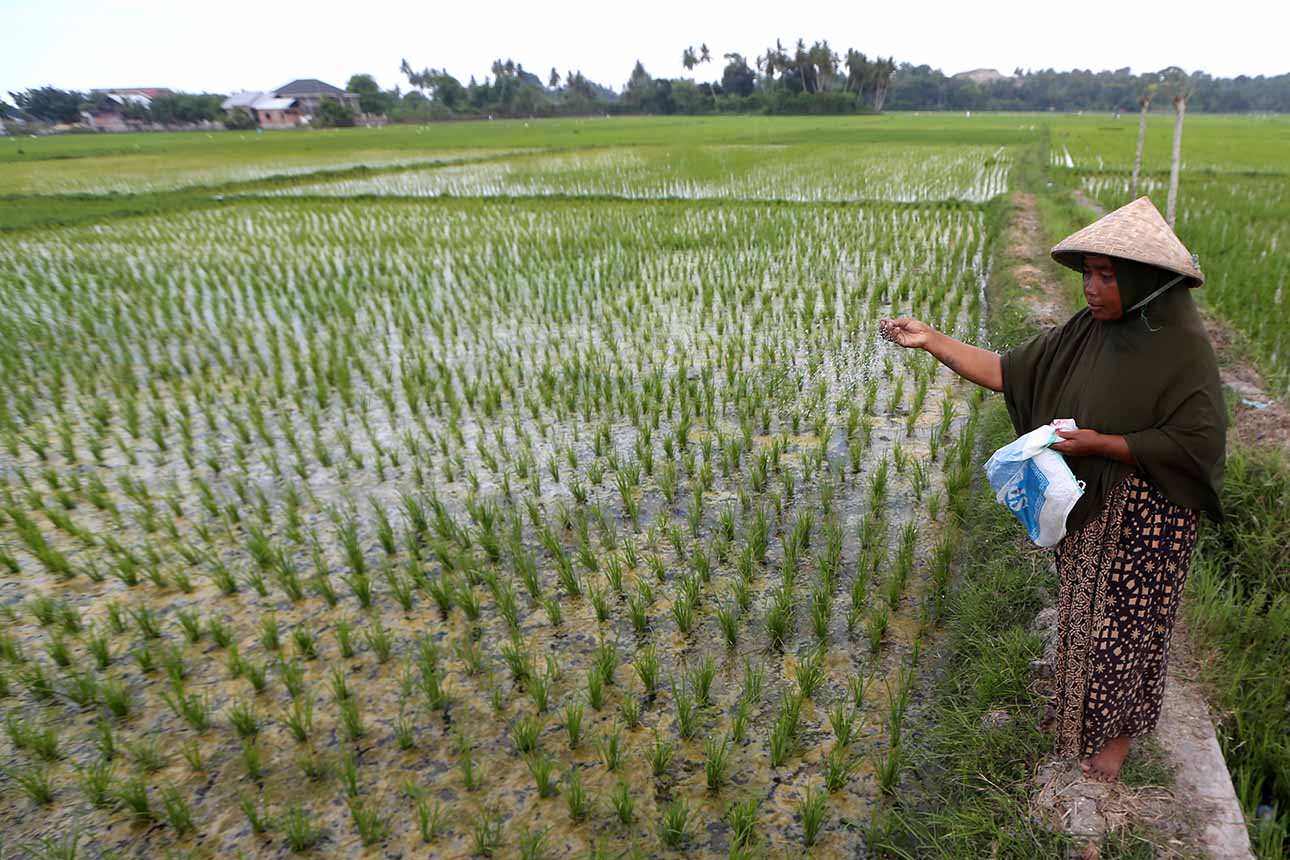 Foto: Penyaluran Pupuk Bersubsidi untuk Petani - Koran Jakarta