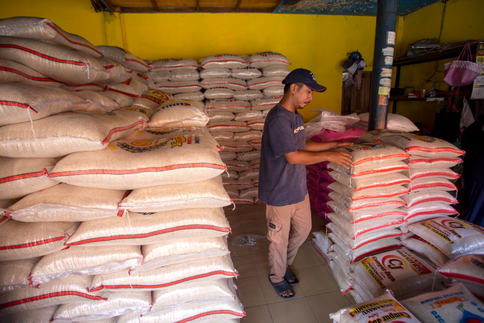 Foto: Harga beras naik di Indramayu - Berita Hari Ini dari Jakarta dan Daerah seluruh Indonesia ...