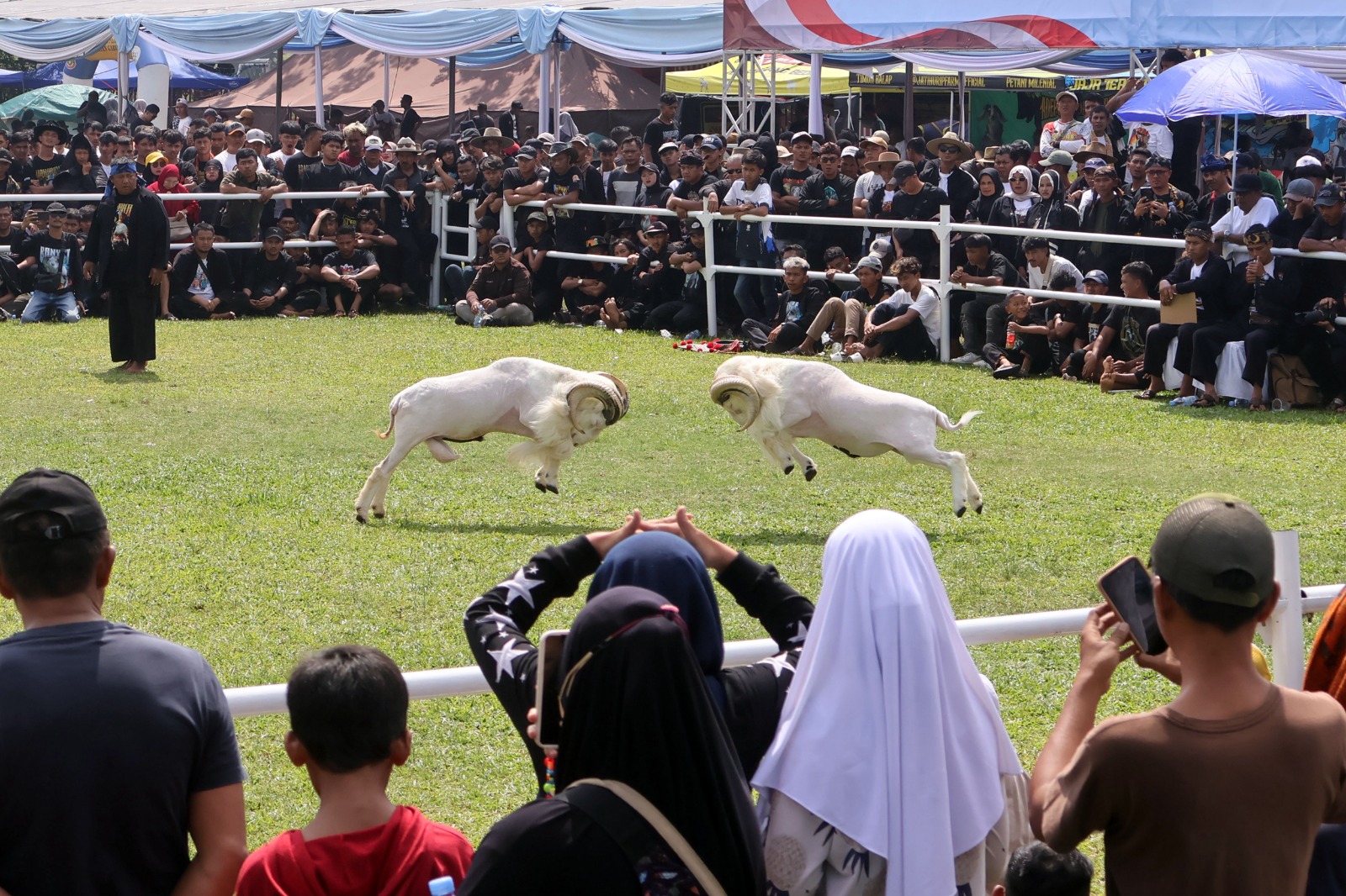 Elon Musk Dukung Aksi Demo Warga Jepang Tolak Imigran