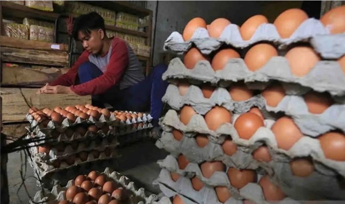 Bapanas: Harga Telur Ayam Ras Minggu (13/4) Turun, Cabai Rawit Merah Naik