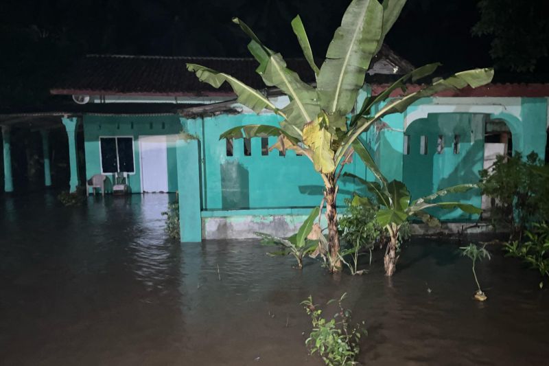 BPBD Lampung Selatan Catat 403 Rumah Terdampak Banjir Akibat Hujan Lebat