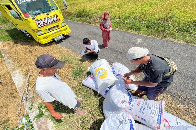 Perum BULOG Kanwil Yogyakarta Komitmen Dukung Kesejahteraan Petani Lokal