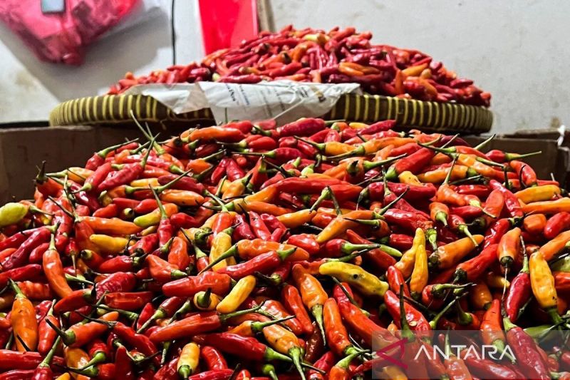 Harga Cabai Rawit Merah Rp60.932/Kg, Telur Ayam Rp29.060/Kg