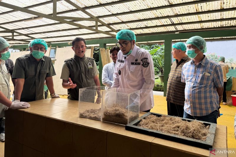 Pengelolaan Sampah di Taman Safari Bogor Menarik Perhatian Pemkot Sukabumi