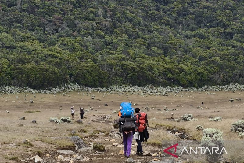 TNGGP Buka Kembali Jalur Pendakian Gunung Gede-Pangrango