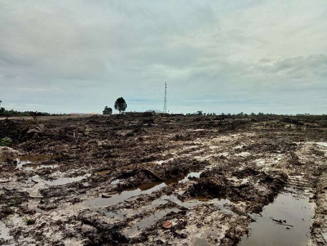 BMKG: Tahun Ini Indonesia Alami Kemarau Basah