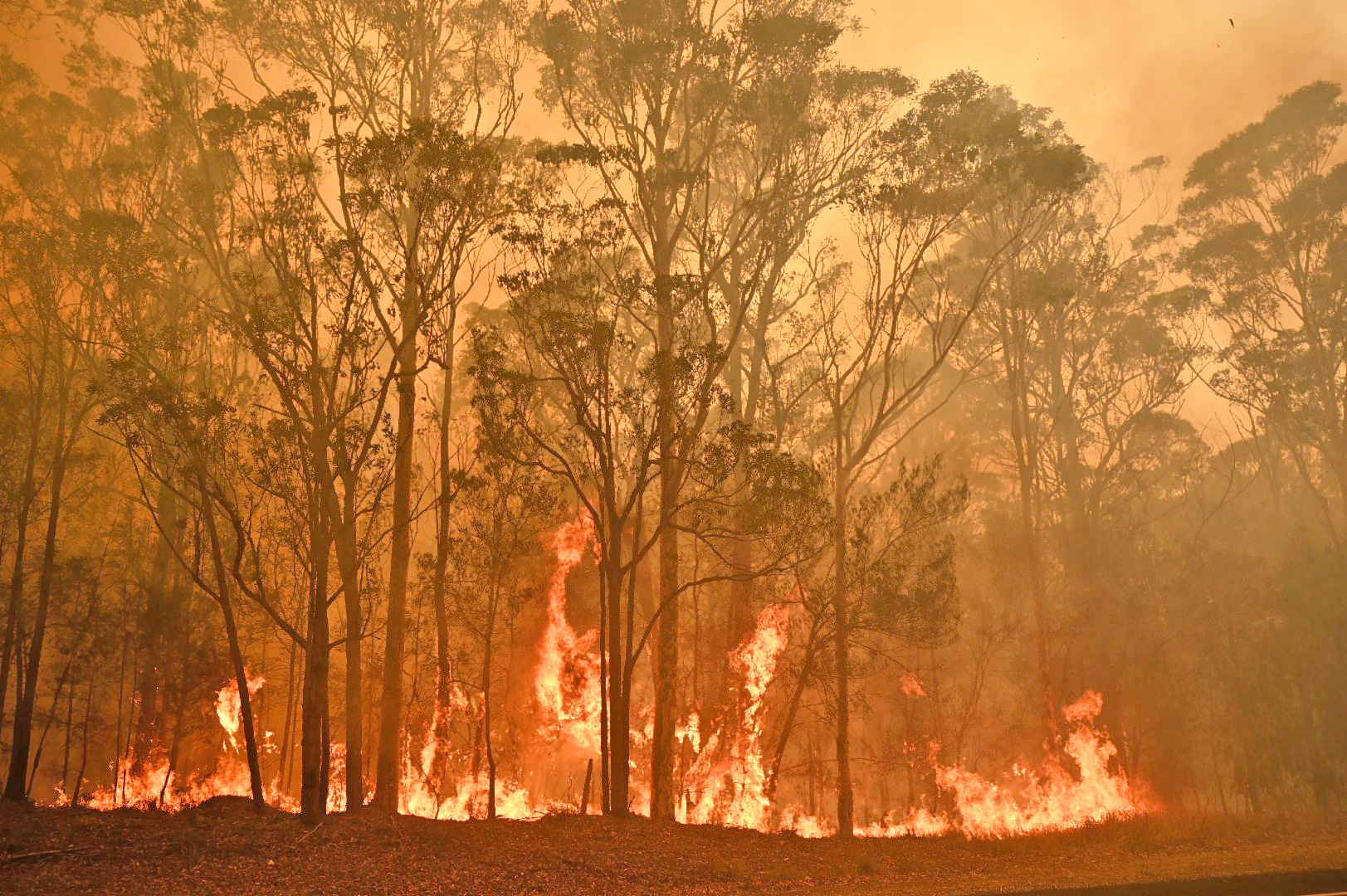Duh! Mahasiswa ITB Jadi Joki SNPMB, Ini Tanggapan Kampus