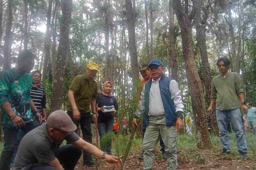 Menjadikan Kawasan Hutan Pinus Sebagai Lokasi Wisata Edukasi