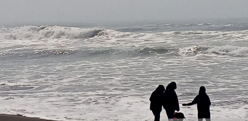 Waspada! Potensi Gelombang Tinggi Capai 2,5 hingga 4 Meter di Perairan Selatan Jateng