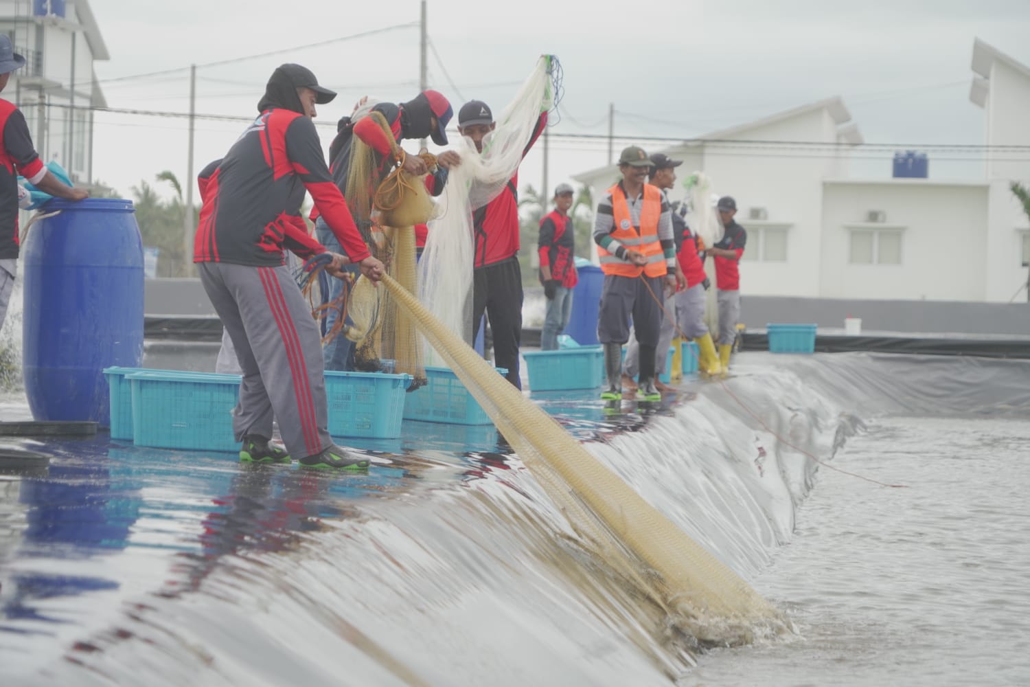 Investasi Sektor Kelautan dan Perikanan Tembus Rp2,38 T di Triwulan I 2025