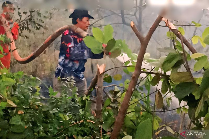 Karhutla Landa Ogan Komering Ulu, BPBD Lakukan Pemadaman di Dua Titik