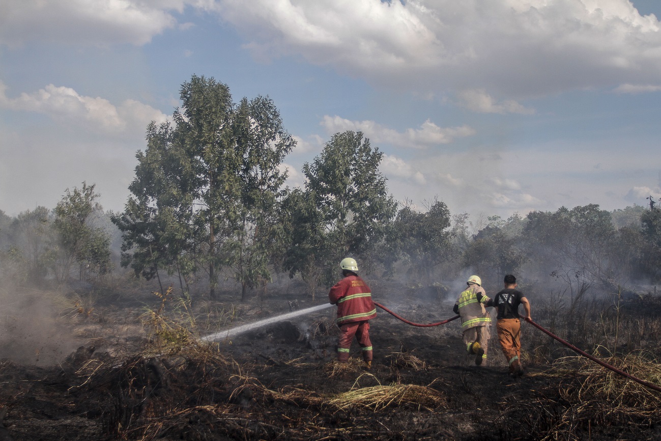 Pemprov Riau Tetapkan Status Tanggap Darurat Kebakaran Hutan dan Lahan