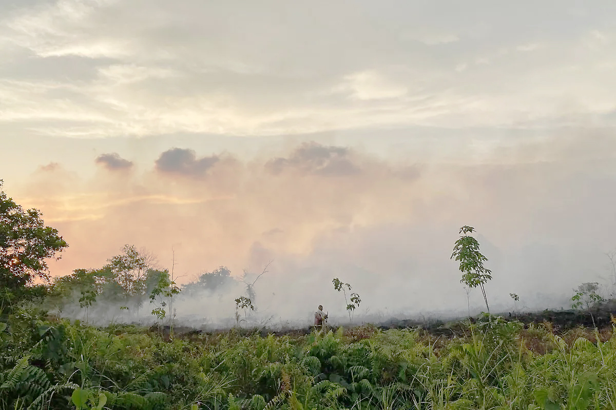 Kabut Asap Muncul, Kebakaran Lahan di Jalan Bandara Singkawang Meluas