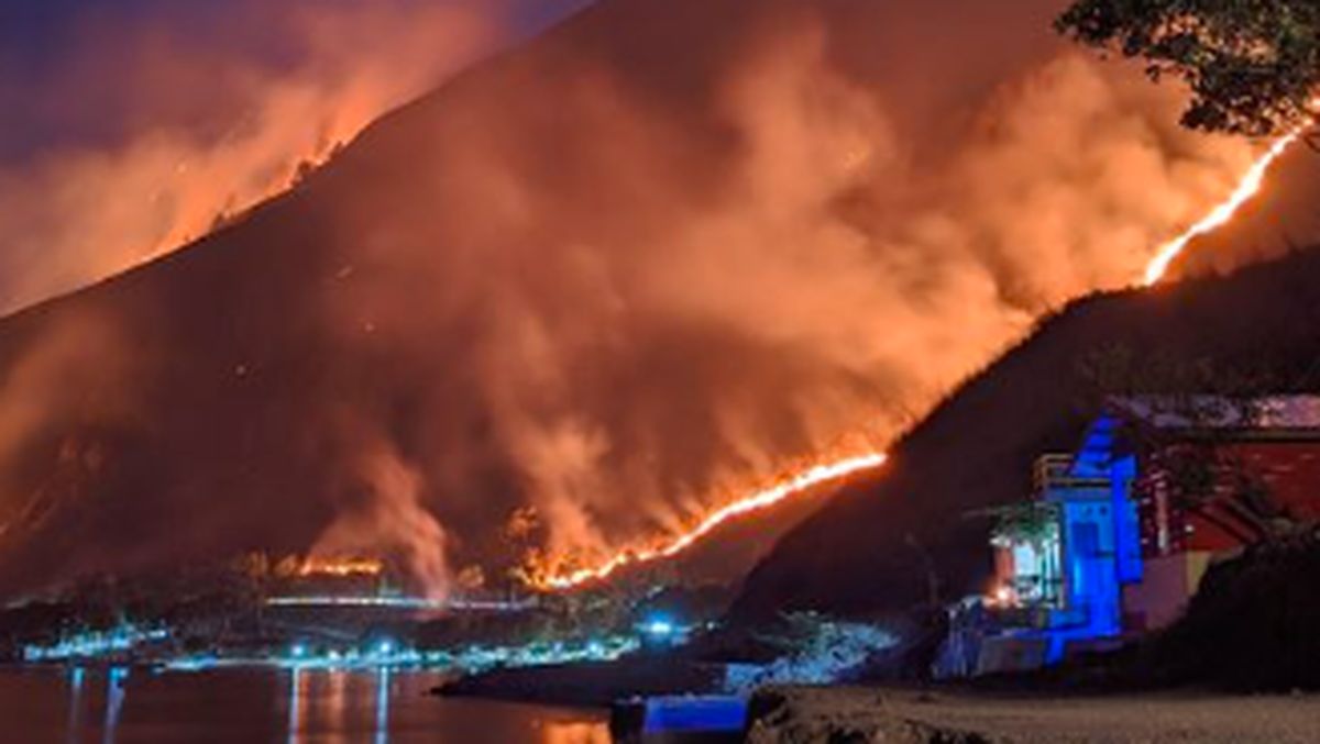 Awas Ketinggalan! Pendaftaran Asrama UI 2025 Dibuka Online Mulai 1 Juli ...