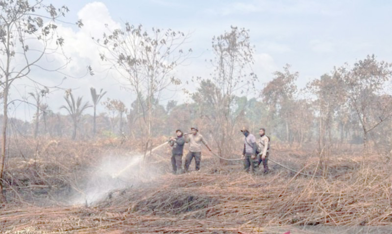Tim Gabungan Kerja Keras Padamkan Karhutla di Meranti