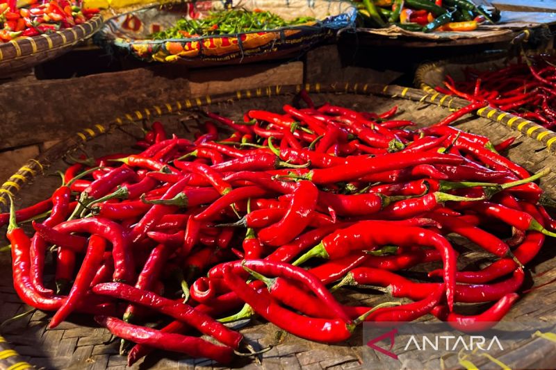 Bapanas: Harga Cabai Rawit Rp43.405/Kg, Bawang Merah Rp43.872/Kg