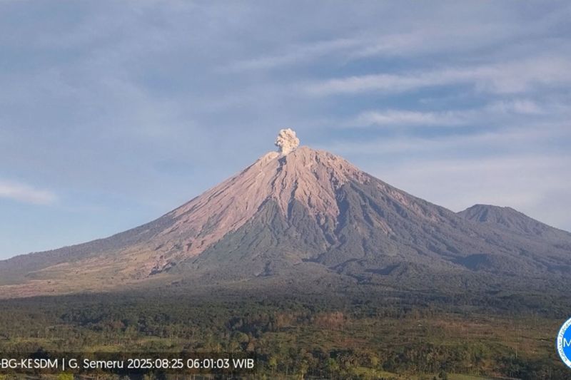 Gunung Semeru Kembali Erupsi pada Senin (25/8) Pagi Ini, Masyarakat Diimbau Waspada
