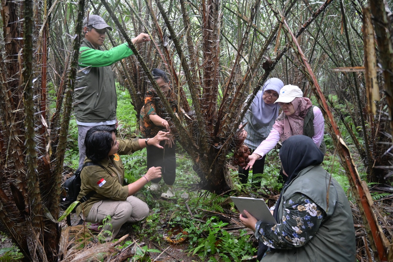 Jadwal Livoli Divisi Utama 2025 Dimajukan Karena Pelatnas SEA Games