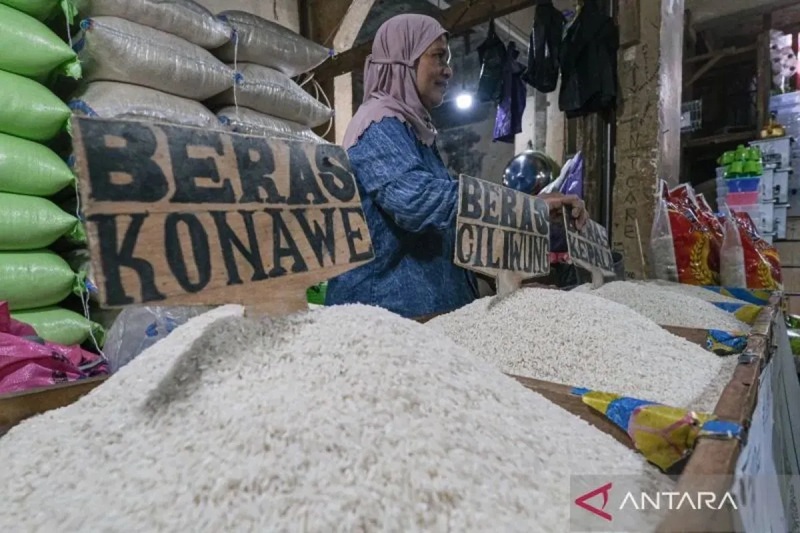 Harga Pangan Hari Ini: Beras Medium Turun Jadi Rp13.678 per Kg