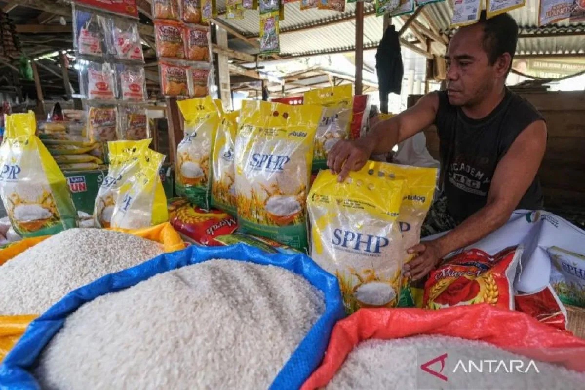 Harga Pangan Hari Ini, Bapanas: Beras Medium Turun Jadi Rp13.565/Kg