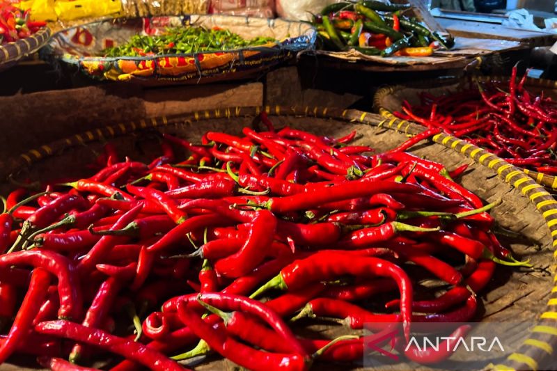 Bapanas: Harga Cabai Rawit Rp45.558/Kg, Bawang Merah Rp38.036/Kg