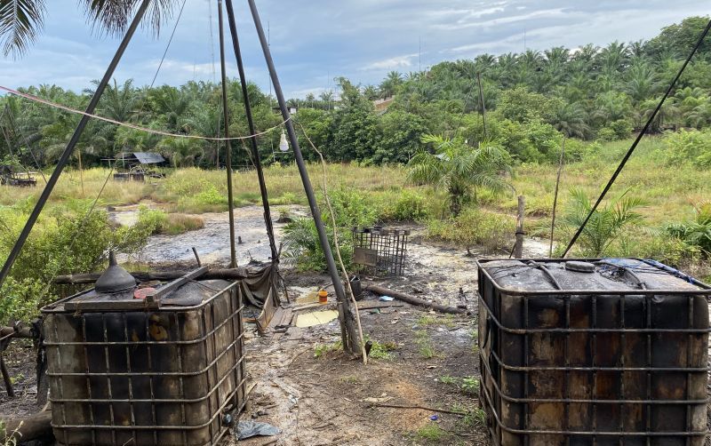 Adat Lindungi Satwa.Nagari Lasi Larang Perburuan Burung di Gunung Marapi