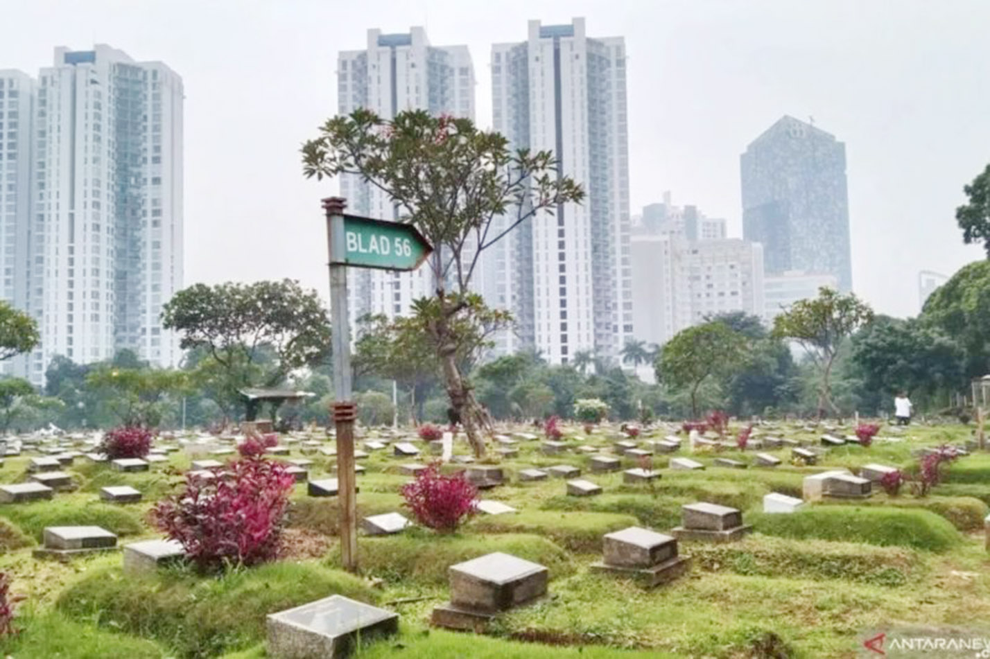 Tampilen Nyentrik, Kinerjanya Memukau: Hoho Alkaf, Kades Viral yang Ubah Dana Desa Jadi Aksi Nyata