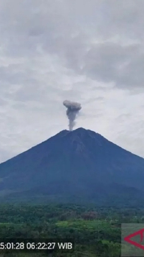 Gunung Semeru Erupsi Lagi, Tinggi Letusan hingga 1 Km