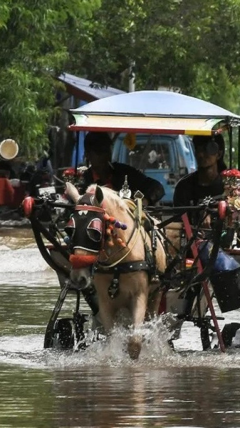Mulai Surut, BPBD Sebut 24 RT di Jakarta Masih Terendam Banjir