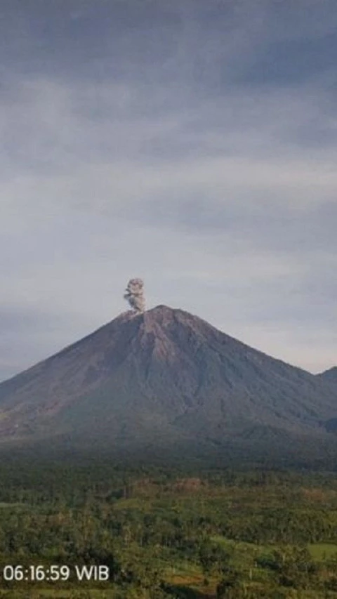 Gunung Semeru Terus Erupsi, Tinggi Letusan hingga 1.100 Meter