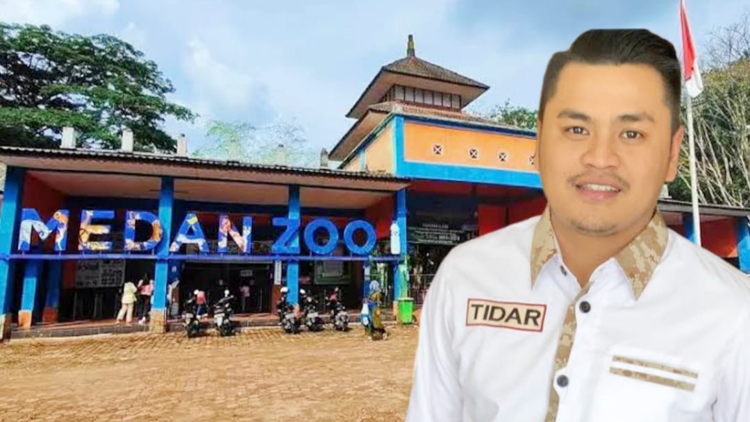 Soal Harimau Sumatera Mati di Medan Zoo, Mulia Syahputra Nasution : Ini ...