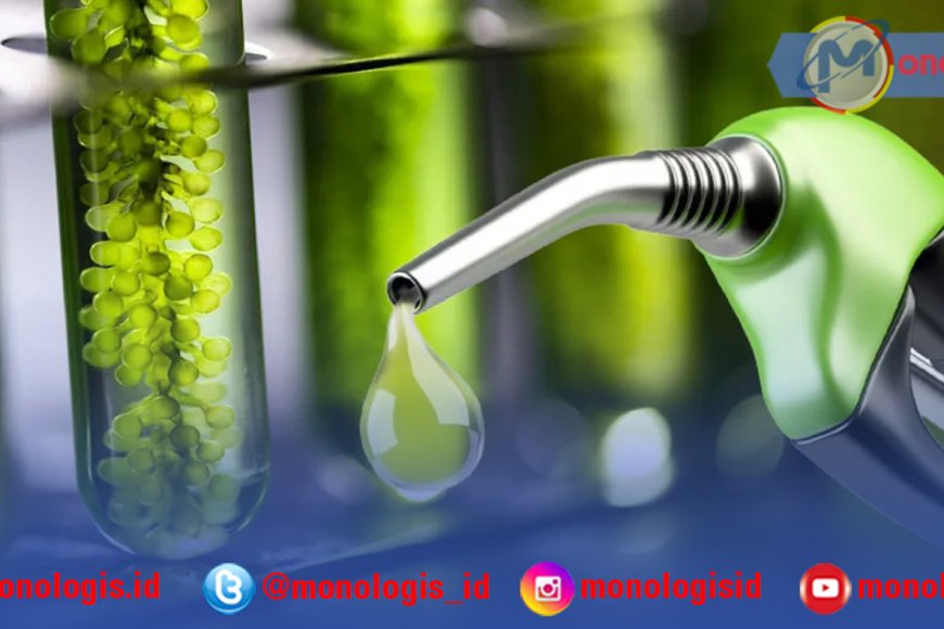 ‎Lampung Disiapkan Jadi Sentra Pengembangan Industri Bioetanol ...