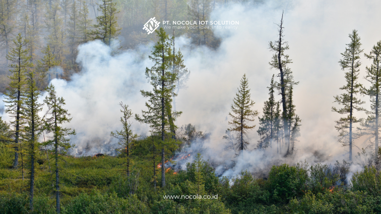 Smart IoT Sensors Revolutionizing Forest Fire Monitoring: Enhancing ...