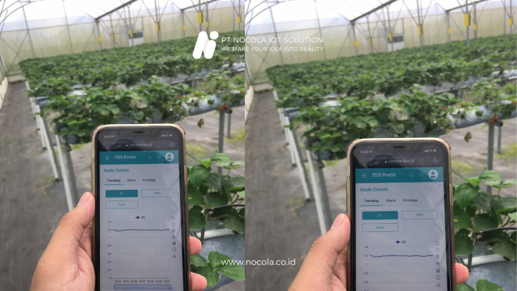 IoT in Hydroponics: Monitor pH, Nutrients, and Temperature in Real-Time ...